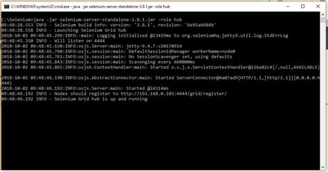 selenium grid step by step guide to configure with command line inviul
