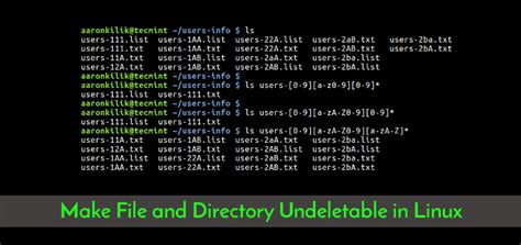 understanding different classifications of shell commands
