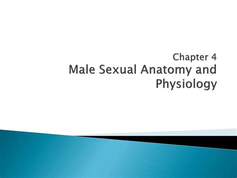 Ppt Chapter 3 Female Sexual Anatomy And Physiology Powerpoint