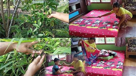Rutinitas Irt Di Kampung Setiap Hari‼️masak Menu Sederhana Dan Beres