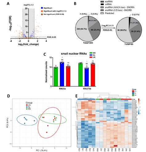 Bioinformatic Analyses Of Differentially Expressed Sn Snornas Small