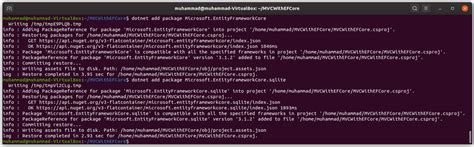 ef core with ubuntu add entity framework core functionality ef core
