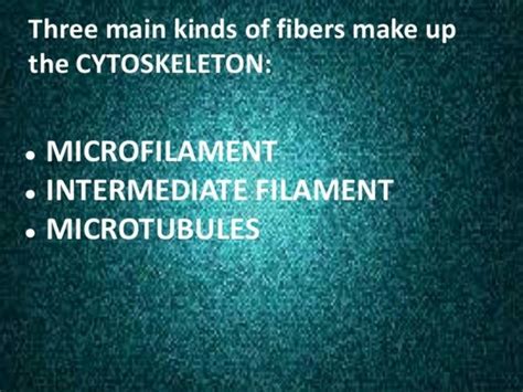 Solution Ppt Cytoskeleton Actin Filaments Microtubules And