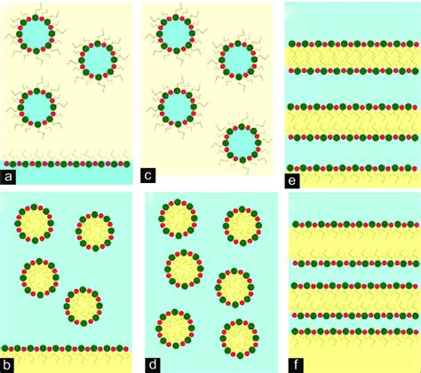 Schematic Representation Of The Microstructures Of Microemulsion Me