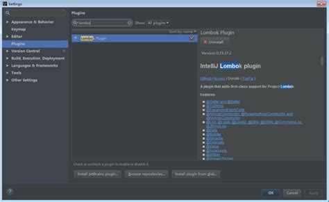 intellij lombok plugin boutiquemokasin