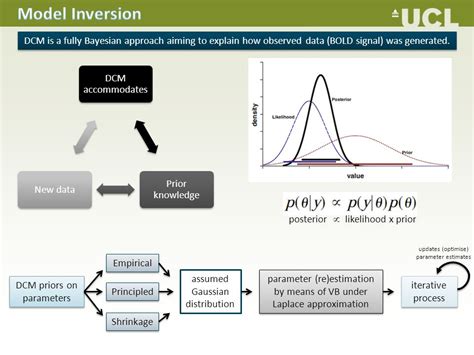 Dynamic Causal Modelling For Fmri Theory And Practice Ppt Video