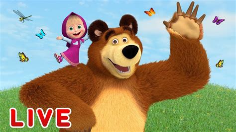 Masha E Orso Tutti Gli Episodi 🎬 Youtube