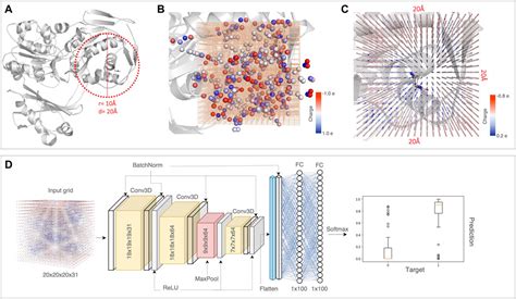 understanding structure guided variant effect predictions using 3d