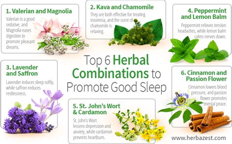 Top 6 Herbal Combinations For Good Sleep