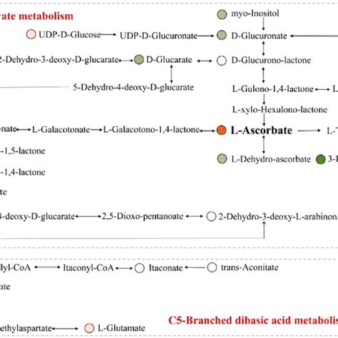 Maps Of Kegg Pathways Involved In Key Differential Metabolites Note