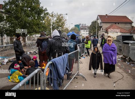 Bapska Croatia October 24 2015 Crowd Of Refugees Waiting To