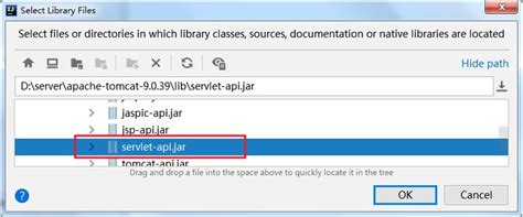 create a servlet project using intellij idea programmer all