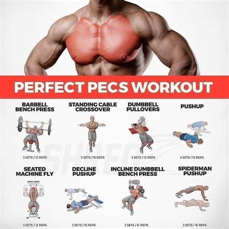 Try This Lifts To Hit The Chest And Get A Great Pump In Barbell