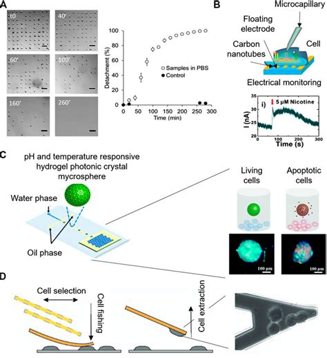 Frontiers Advances In Microtechnology For Improved Cytotoxicity