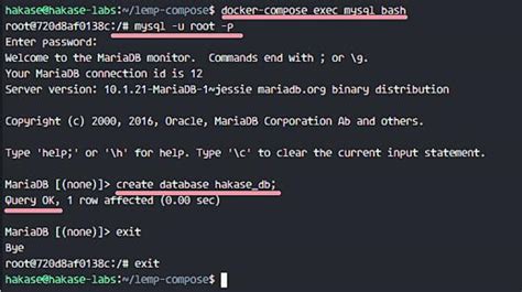 dockerizing lemp stack mit docker compose auf ubuntu