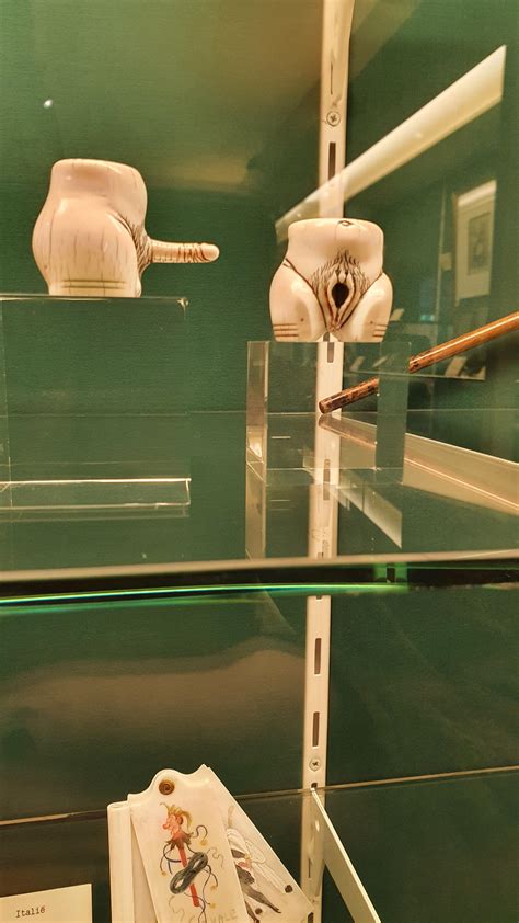 Found In The Sex Museum In Amsterdam R Badwomensanatomy