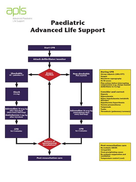 Algorithms Paediatric Advanced Life Support Pdf Cardiopulmonary
