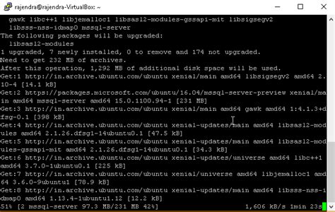 sql server 2019 installation on ubuntu without a docker