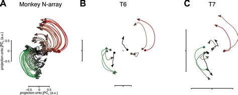 Neural Population Dynamics In Human Motor Cortex During Movements In