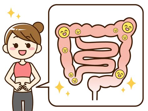 腸内環境を整えて、認知機能の低下を防ごう！ おれんじねっと｜大阪・認知症情報サイト