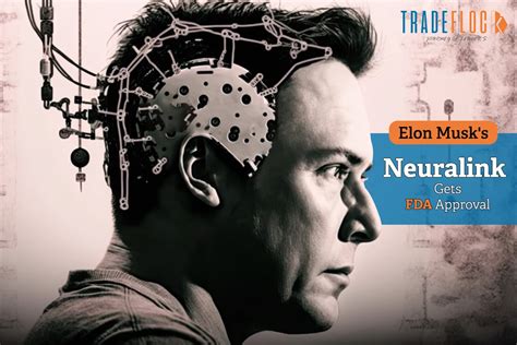 Government Approves Elon Musks Neuralink Brain Chip