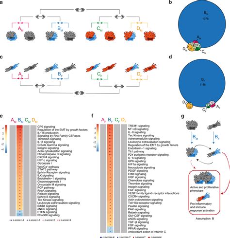 Role Of Hypoxia On The Global Biological Response A C Schematic