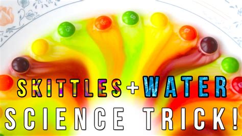 Skittles Water Science Trick Youtube