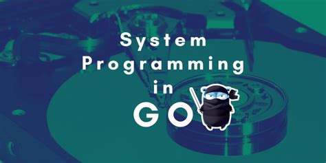 system programming in go interview questions golang docs