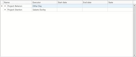 Wpf Data Grid — Upcoming Features V22 2 Laptrinhx News