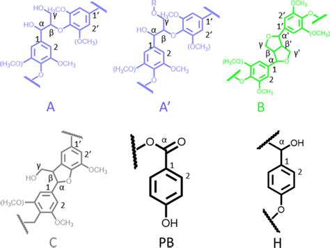 Main Lignin Related Chemical Structures Found In The Spectra In Fig 5