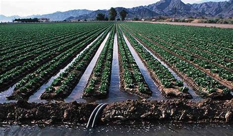 Types Of Irrigation Civil Engineering Blog