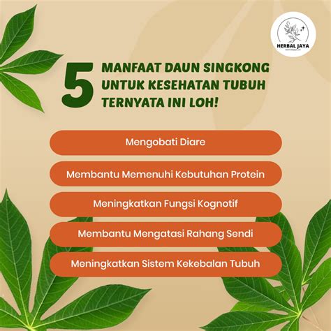 5 Manfaat Daun Singkong Tersembunyi Untuk Kesehatan Tubuh