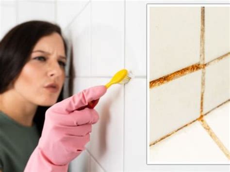 How To Clean Shower Grout — Amenify