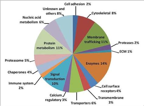 Functional Classification Of 576 Proteins Identified In Mvs Download