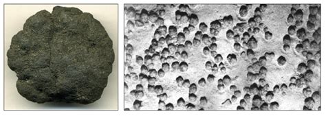 12 4 Hydrogenous Sediments Ppsc Gey 1155 Introduction To Oceanography