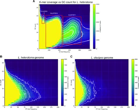 Analysis Of K Mer Coverage Vs Gc Count A Analysis Of Genomic Reads
