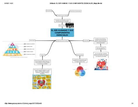 El Ser Humano Y Sus Componentes Esenciales Mapa Mental Pdf