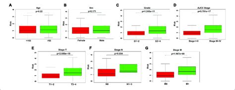 Association Between Risk Score And Clinicopathological Features A