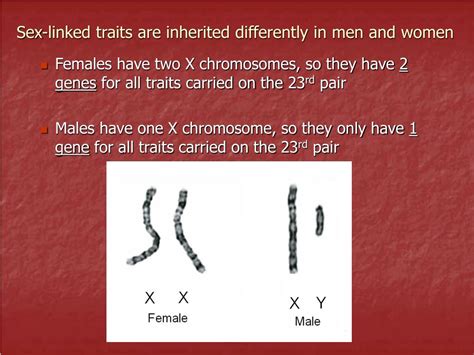 Ppt Notes 21 Sex Linked Inheritance Powerpoint Presentation Free