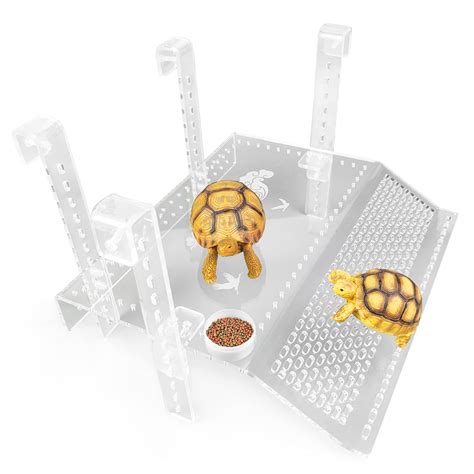 Buy Binano Hanging Basking Platform For Aquatic Turtles With Ramp