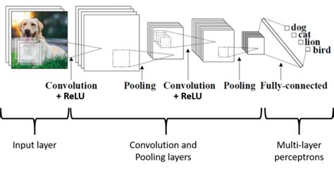 neural network let s try to demystify all this a little bit 3