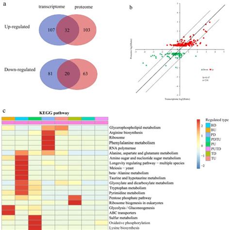 Proteomic Analysis Integrated With Transcriptomics Data Of By4741 Under