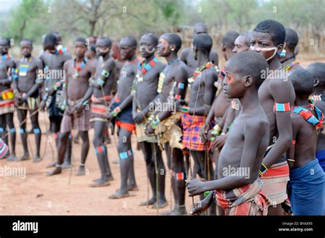 Young Warriors From The Hamar Tribe During Their Initiation Rite Stock