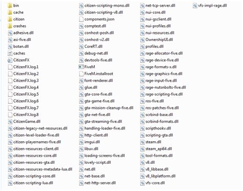 could not load component citizen ressources core dll fivem client
