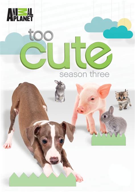 Too Cute Season 3 Watch Full Episodes Streaming Online