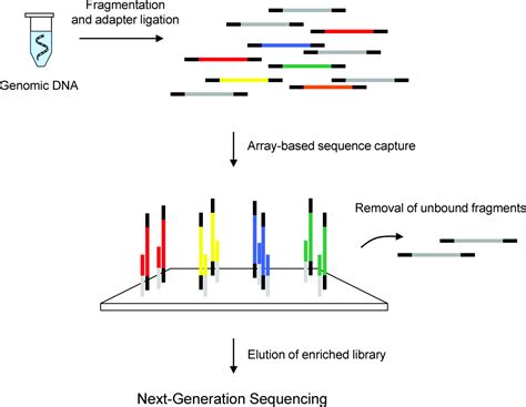 Targeted Next Generation Sequencing For The Molecular Genetic