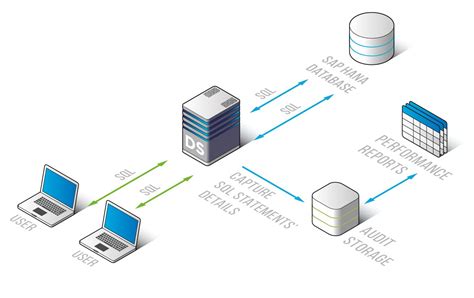 sap hana database performance monitoring datasunrise data and db security