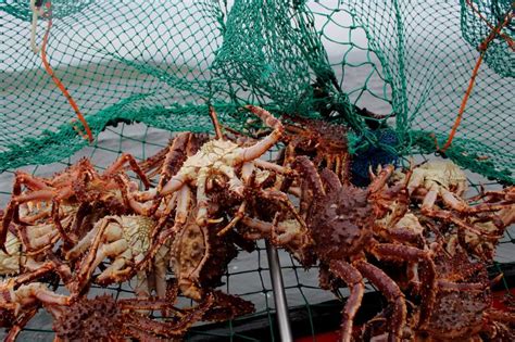 Dad Contracts Flesh Eating Bacteria While Crabbing