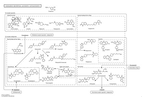 Kegg Pathway Dopamine Receptor Agonists Antagonists Reference Pathway