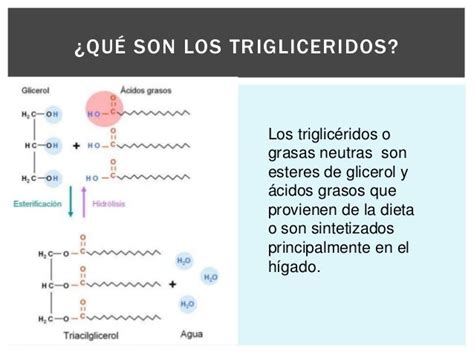 Cuantificacion De Trigliceridos